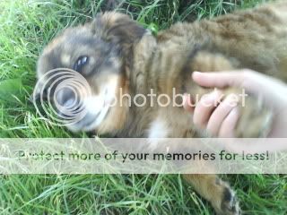 Mali cuko - Forum Klix.ba